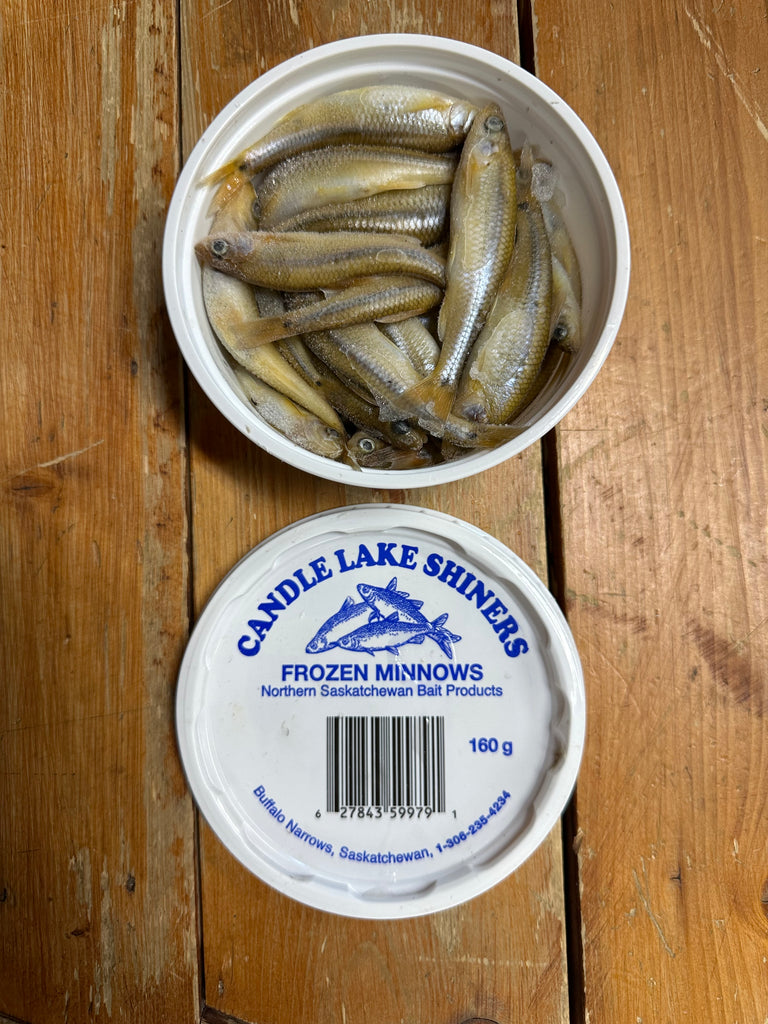 "Candle Lake Shiners" Regular Frozen Minnows – classicoutdoors