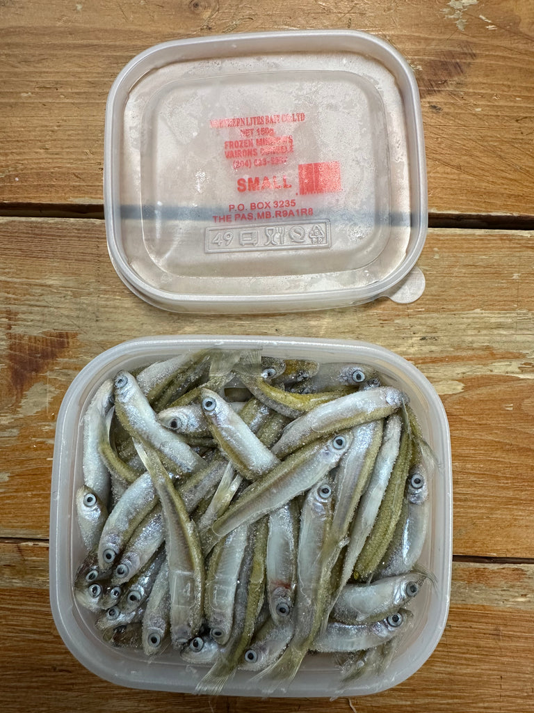 "Northern Lites Bait CO." Small Frozen Minnows – classicoutdoors